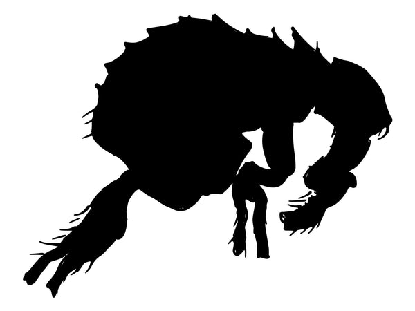 Metamorphosis, by Steven Berkoff – Rhinegold Publishing